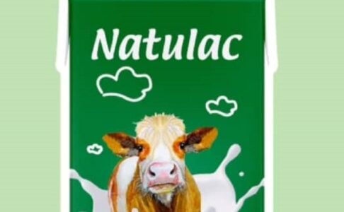 Natulac: Un nuevo capítulo de sabor y frescura en lácteos | CG Latin ...